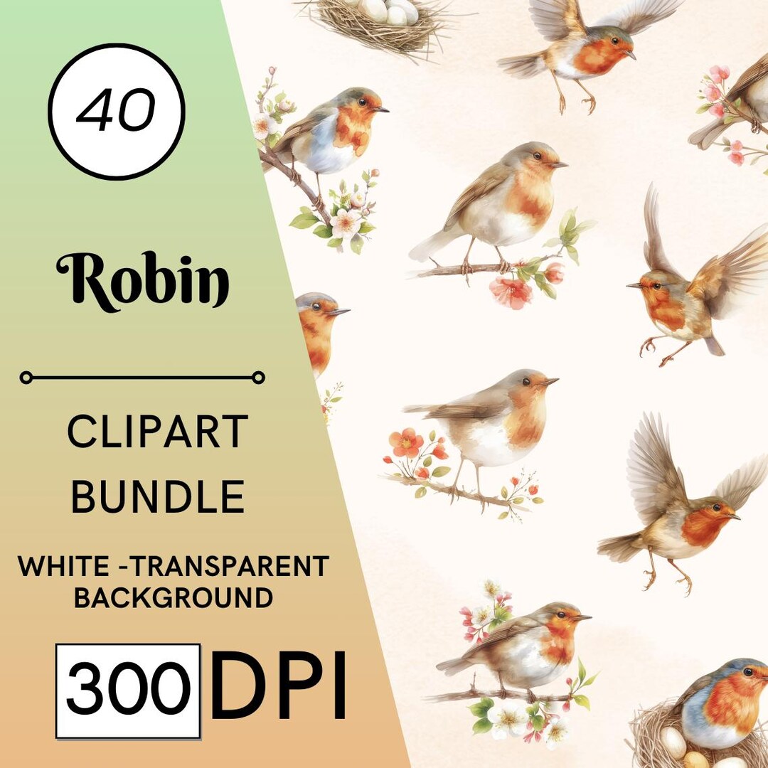 40 Watercolor Robin Clipart, Commercial Use Instant Download PNG ...