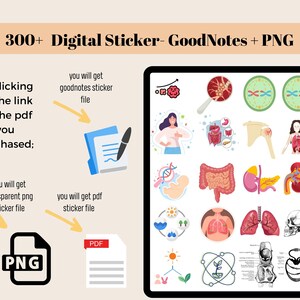 Biology & Anatomy Digital Stickers| Pre-cropped Human Body Stickers ...