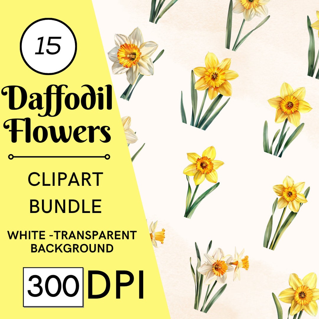 15 Daffodil Flower Clipart Bundle: Watercolor Spring Designs, Floral ...