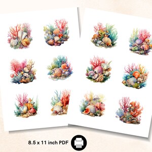 20 Watercolor Seashell Clipart, Coral Reef Seashells Clipart, Beach ...