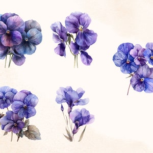 15 Violets Clipart, February Birth Flower Clipart, Jpgs, Digital ...