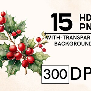 15 Watercolor Holly Berries Clipart, PNG Floral Illustrations ...