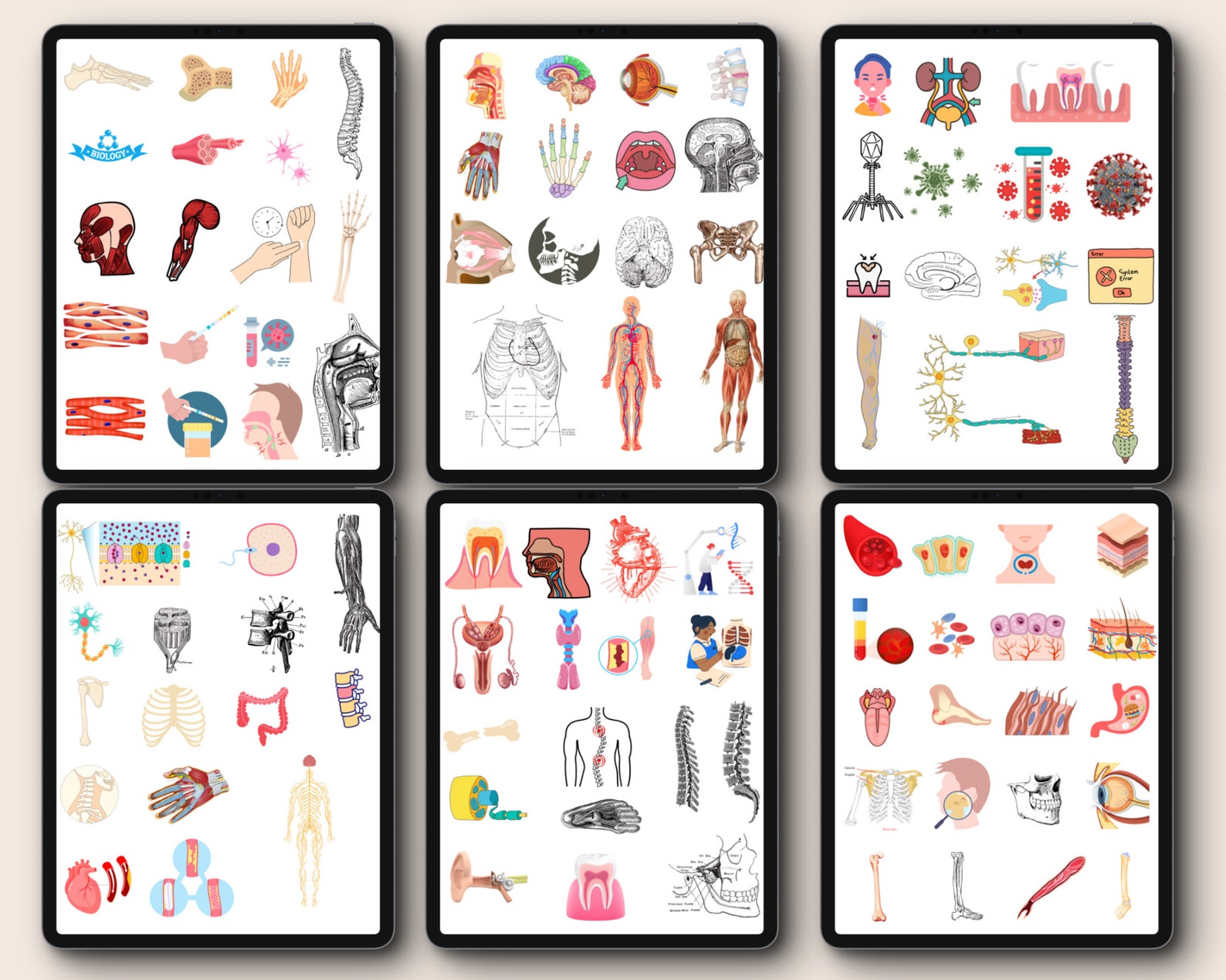 Biology & Anatomy Digital Stickers Pre-cropped Human Body Stickers Hand ...