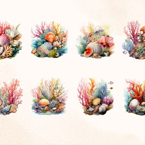 20 Watercolor Seashell Clipart, Coral Reef Seashells Clipart, Beach ...