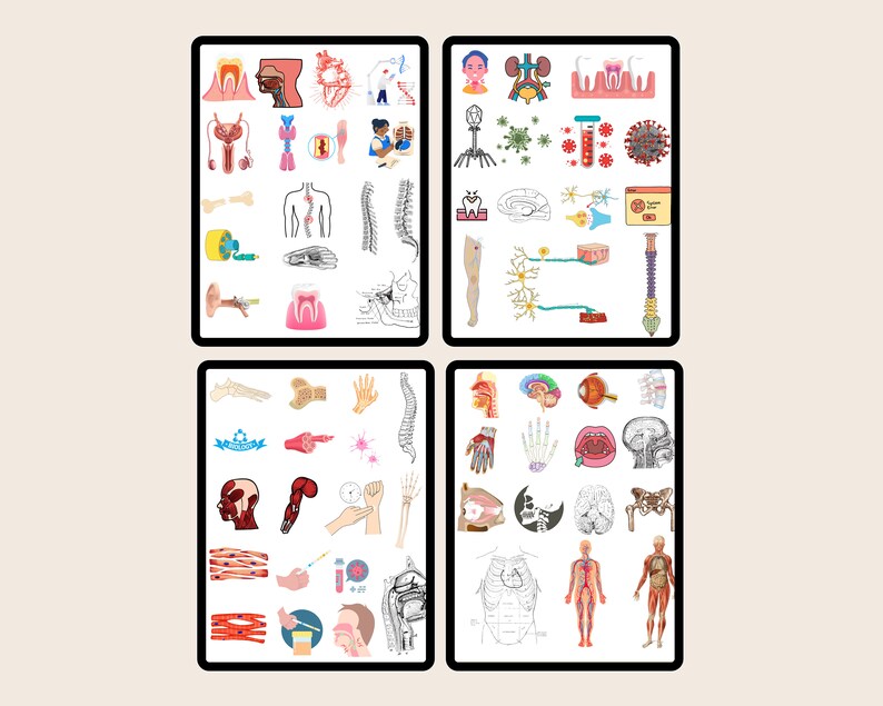 Biology & Anatomy Digital Stickers Pre-cropped Human Body - Etsy