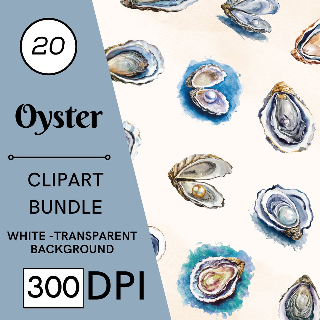 20 Coastal Watercolor Oyster Clipart, Transparent Background PNG ...
