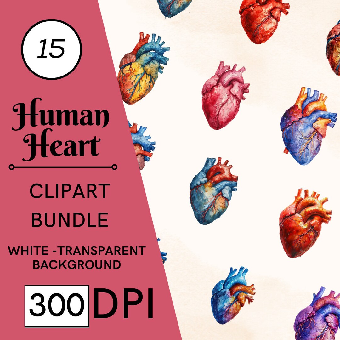 15 Human Heart Clipart, Anatomy, Halloween, Printable Watercolor ...