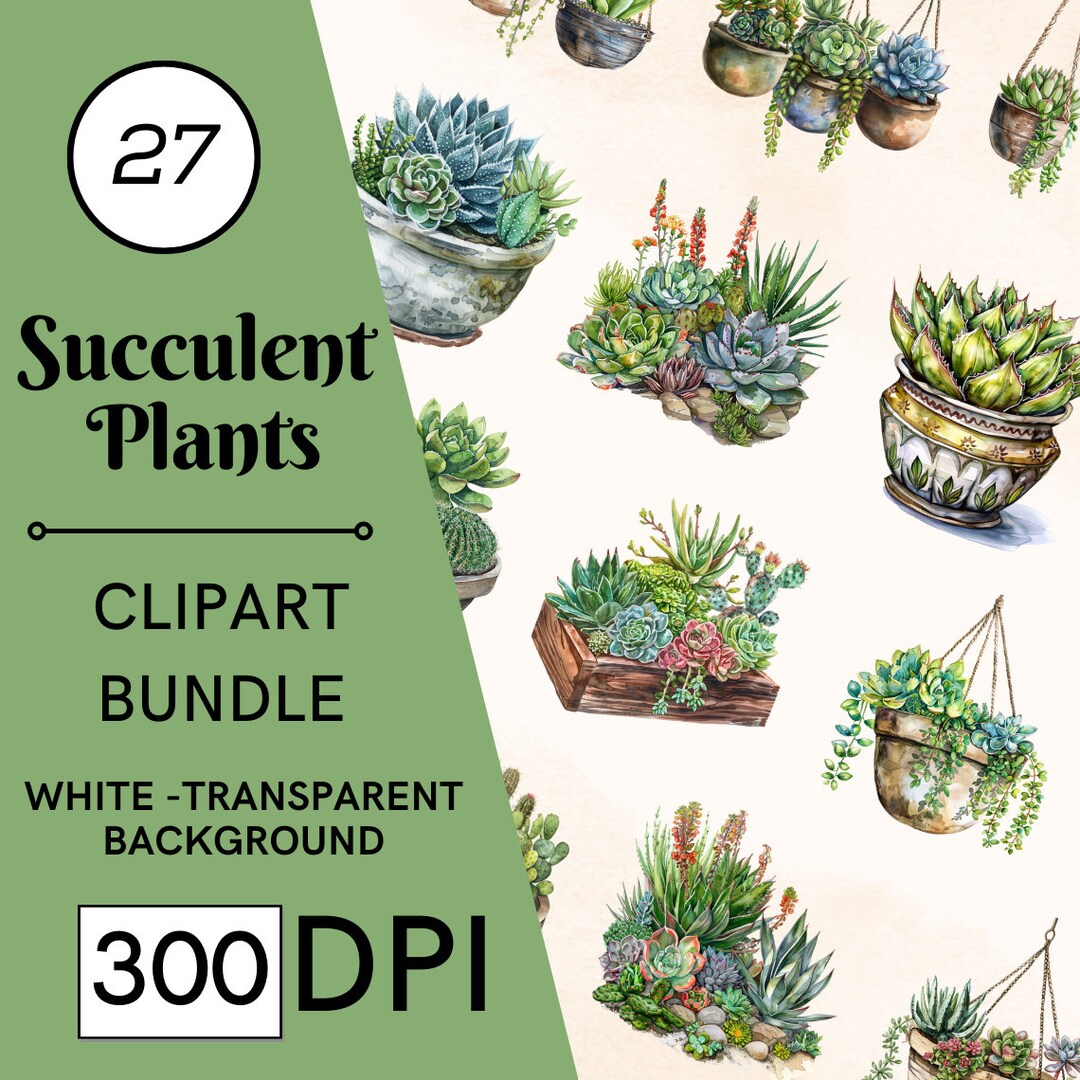 27 Watercolor Succulent Clipart Bundle, Desert Plants PNG, Floral Art ...