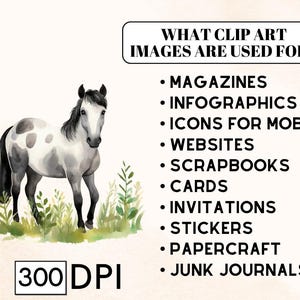50 Watercolor Horse Clipart Bundle, Cute Horse Clip Art Set, Horse PNG ...