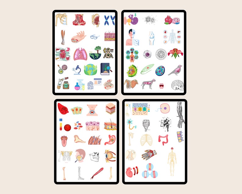 Biology & Anatomy Digital Stickers Pre-cropped Human Body - Etsy