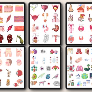 Biology & Anatomy Digital Stickers| Pre-cropped Human Body Stickers ...