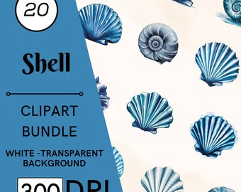Nautical Watercolor Shell Clipart- 20 Transparent Background PNG ...