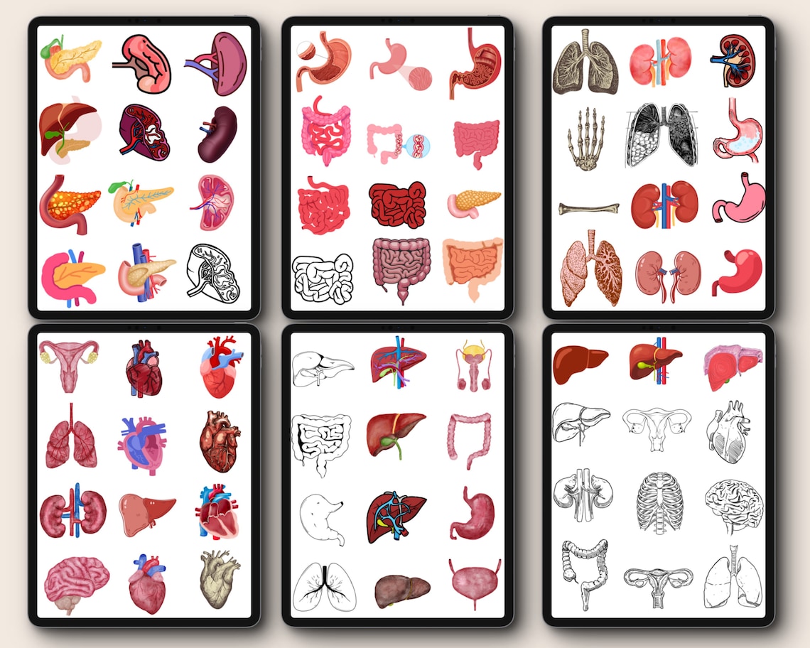 Biology & Anatomy Digital Stickers Pre-cropped Human Body Stickers Hand ...