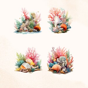 20 Watercolor Seashell Clipart, Coral Reef Seashells Clipart, Beach ...