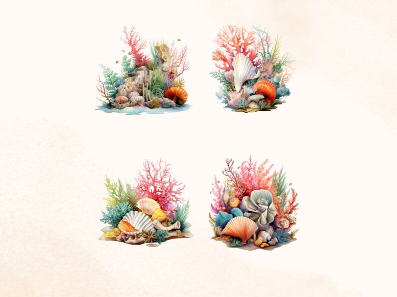 20 Watercolor Seashell Clipart, Coral Reef Nautical Bundle, Commercial ...