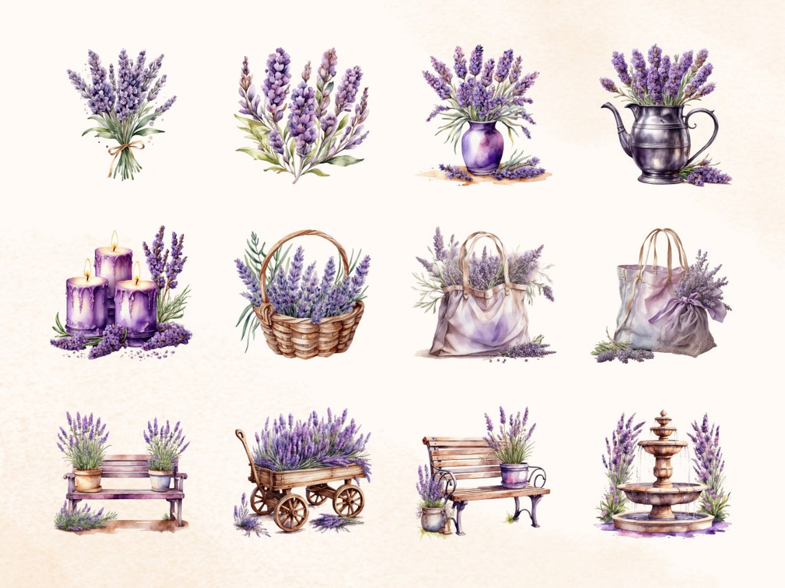 45 Watercolor Lavender Garden Clipart, Provence Floral Spring PNG ...