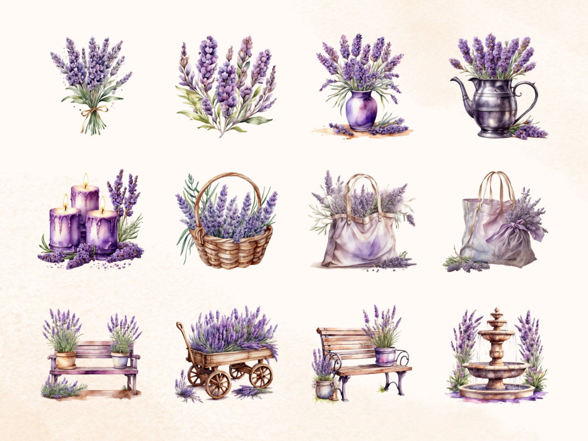 45 Watercolor Lavender Garden Clipart, Provence Floral PNG Bundle, JPG ...
