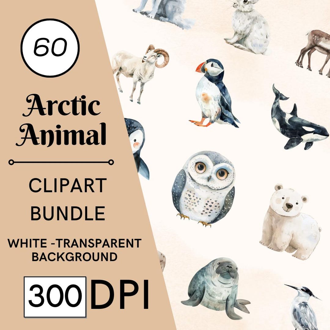 60 Arctic Animal Watercolor Clipart, Polar Bear, Penguin, Seal ...