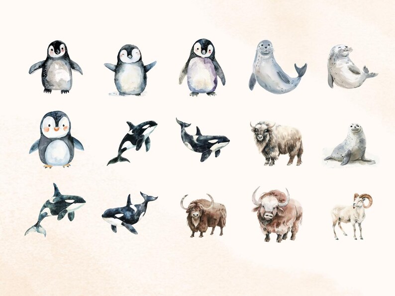 60 Arctic Animal Watercolor Clipart, Polar Bear, Penguin, Seal ...
