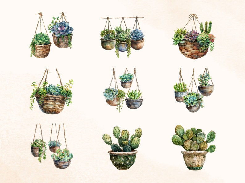 27 Watercolor Succulent Clipart Bundle, Desert Plants PNG, Floral Art ...
