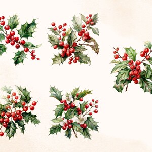 15 Watercolor Holly Berries Clipart, PNG Floral Illustrations ...