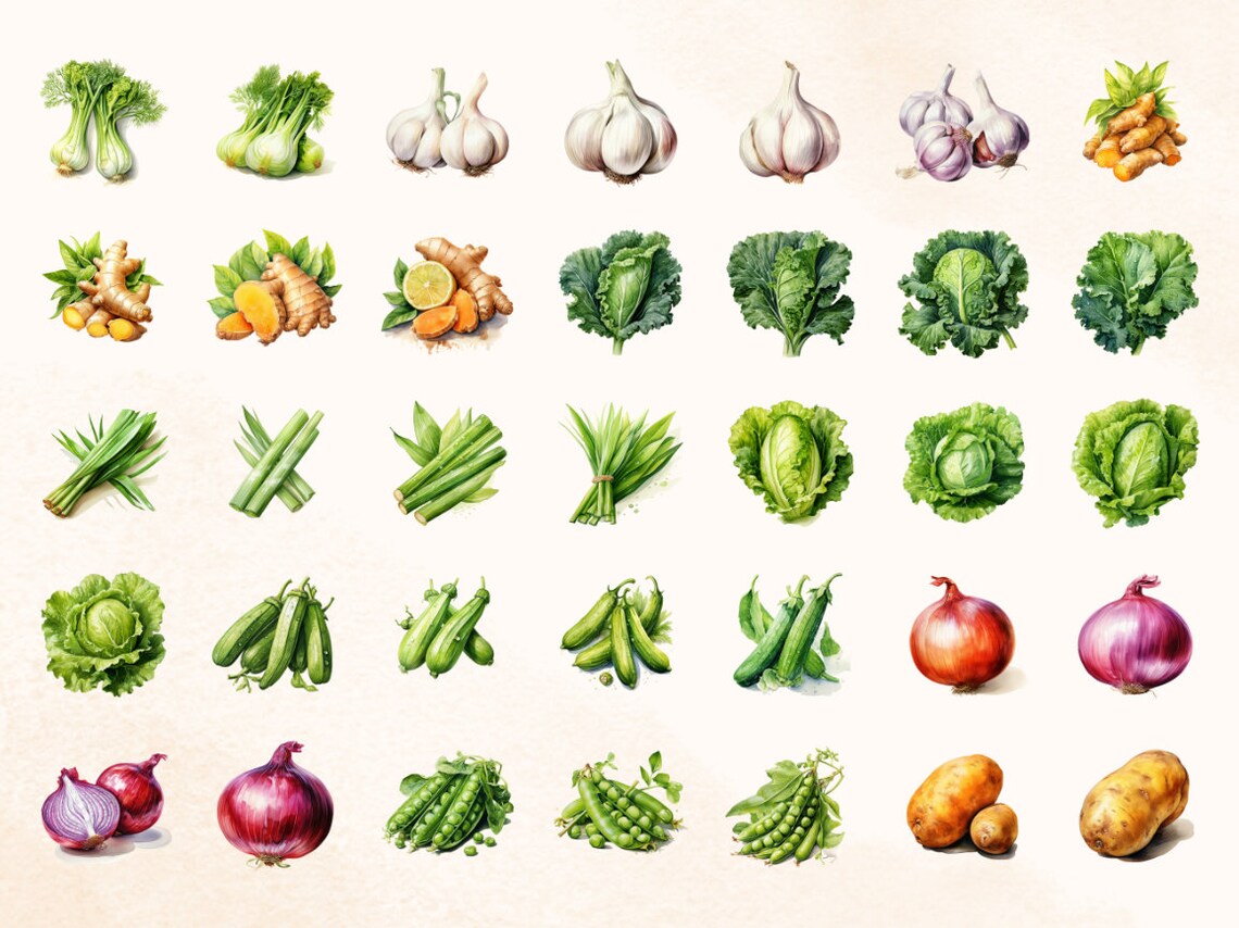 140 Watercolor Vegetables PNG Clipart Bundle, Tomato, Carrot, Corn ...