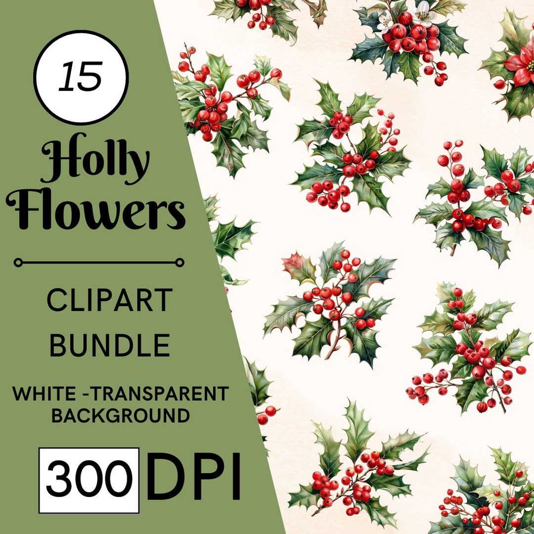 15 Watercolor Holly Berries Clipart, PNG Floral Illustrations ...