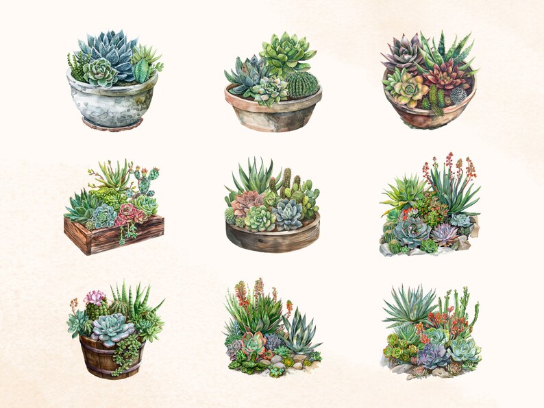 27 Watercolor Succulent Clipart Bundle, Desert Plants PNG, Floral Art ...