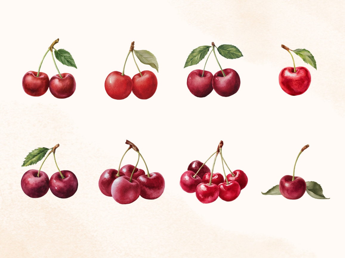 20 Watercolor Cherry Clipart, Watercolor Cherry PNG, Hand Painted ...
