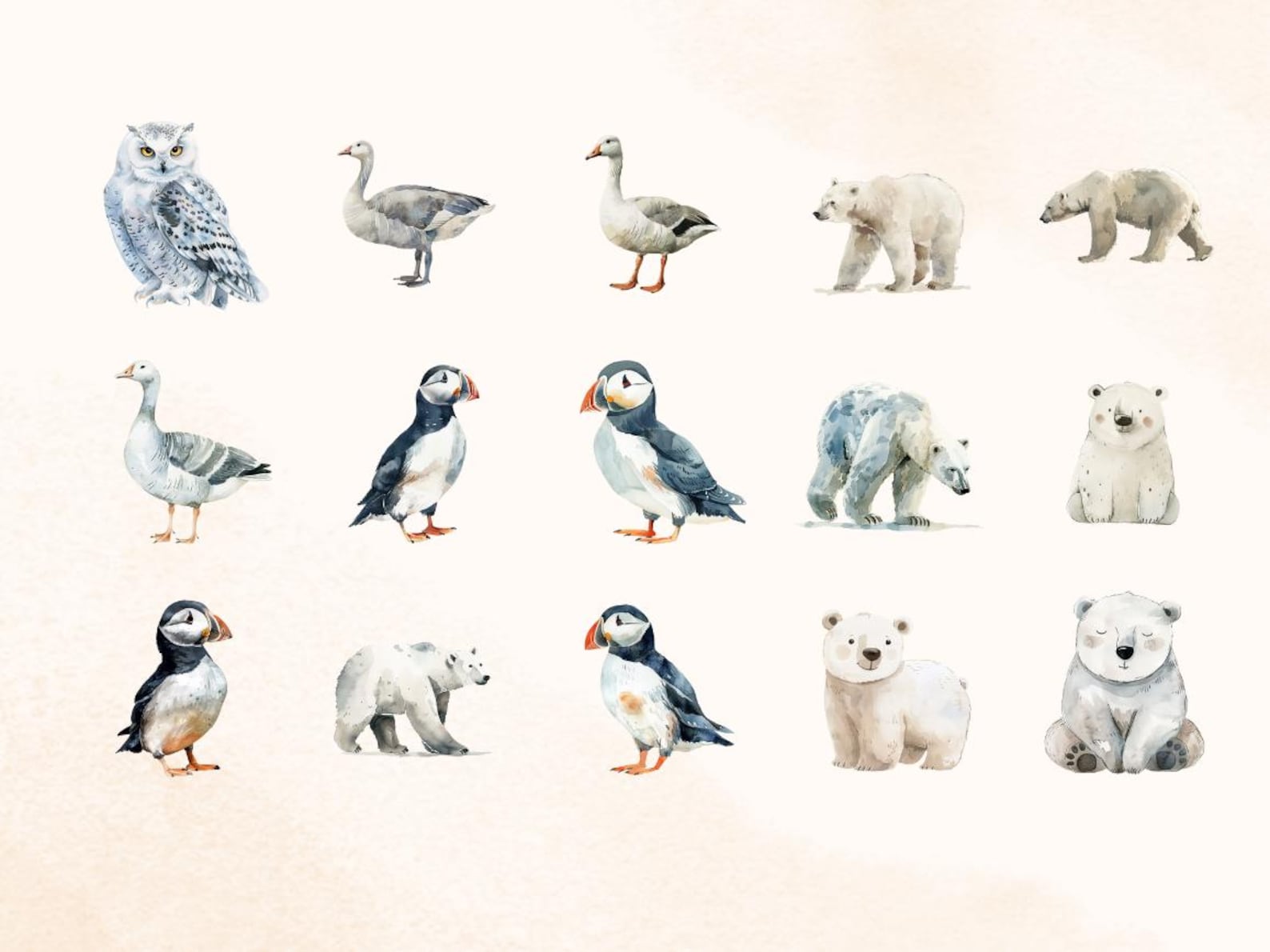 60 Arctic Animal Watercolor Clipart, Polar Bear, Penguin, Seal ...