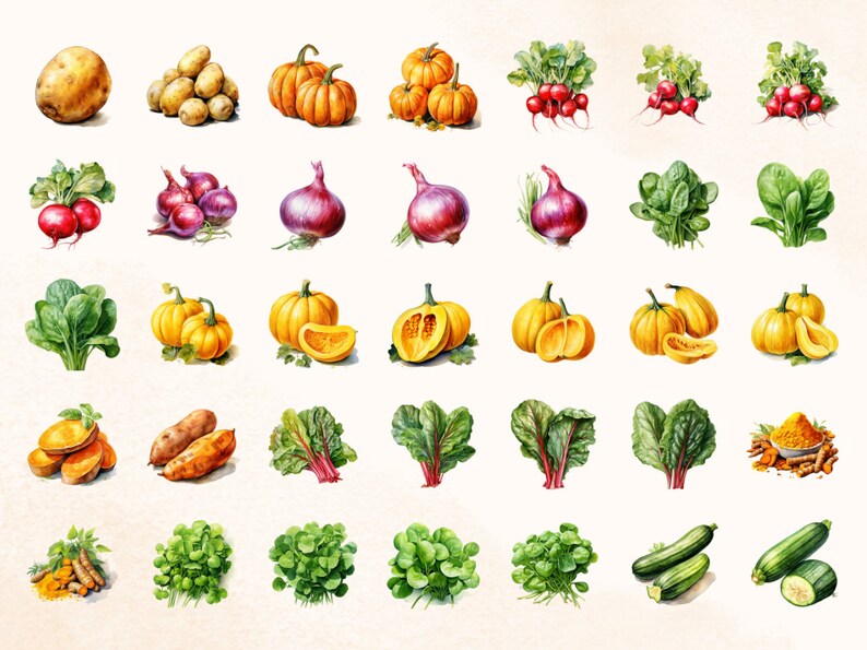 140 Watercolor Vegetables PNG Clipart Bundle, Tomato, Carrot, Corn ...