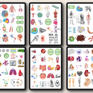 Biology & Anatomy Digital Stickers| Pre-cropped Human Body Stickers ...