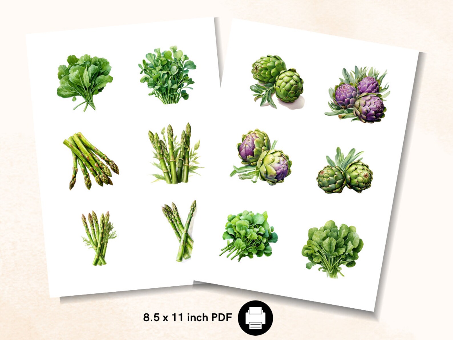 140 Watercolor Vegetables PNG Clipart Bundle, Tomato, Carrot, Corn ...