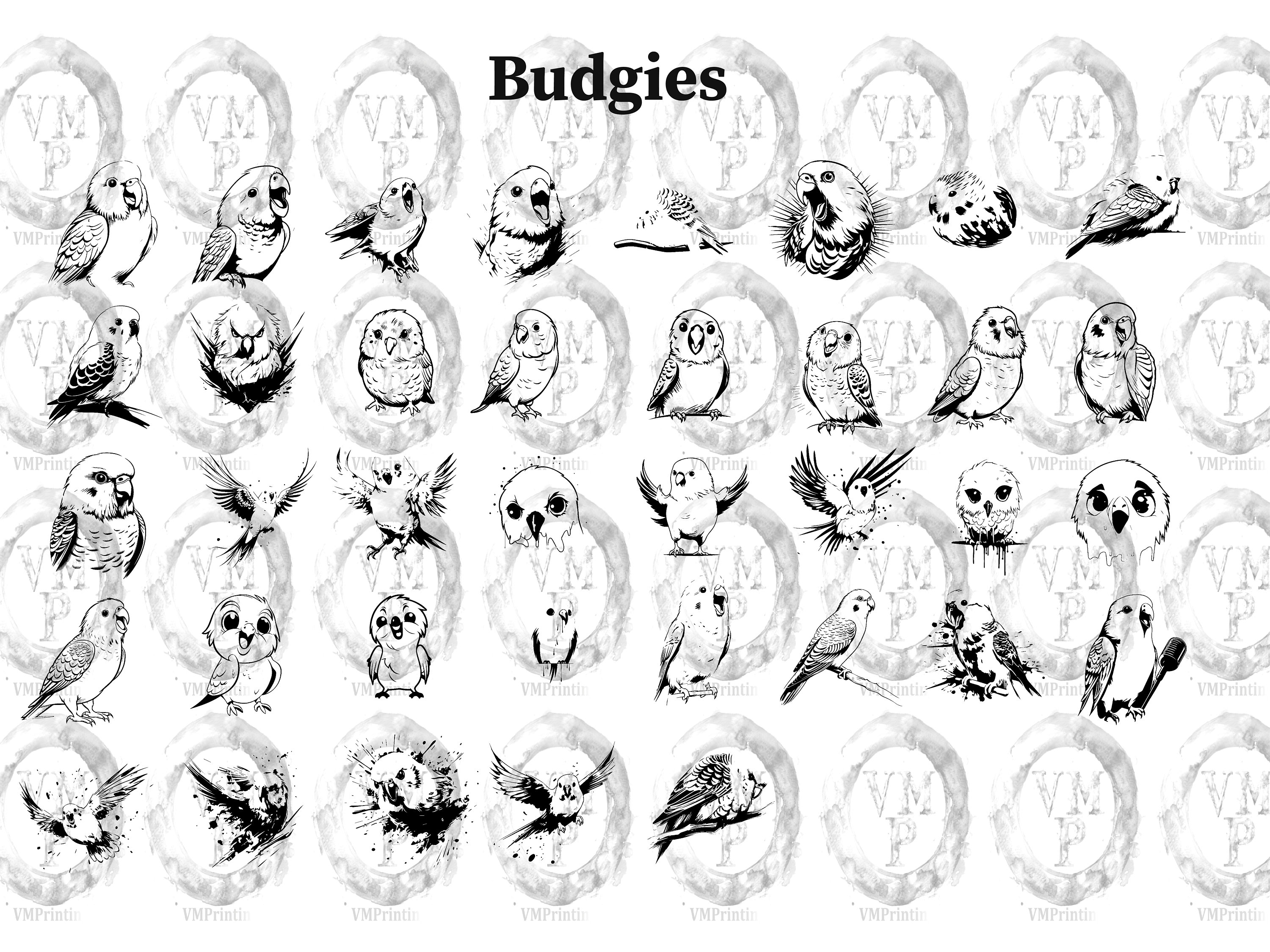 245 Bird Icons Bundle Clipart, SVG, PNG Budgie, Eagle, Hummingbird, Owl ...
