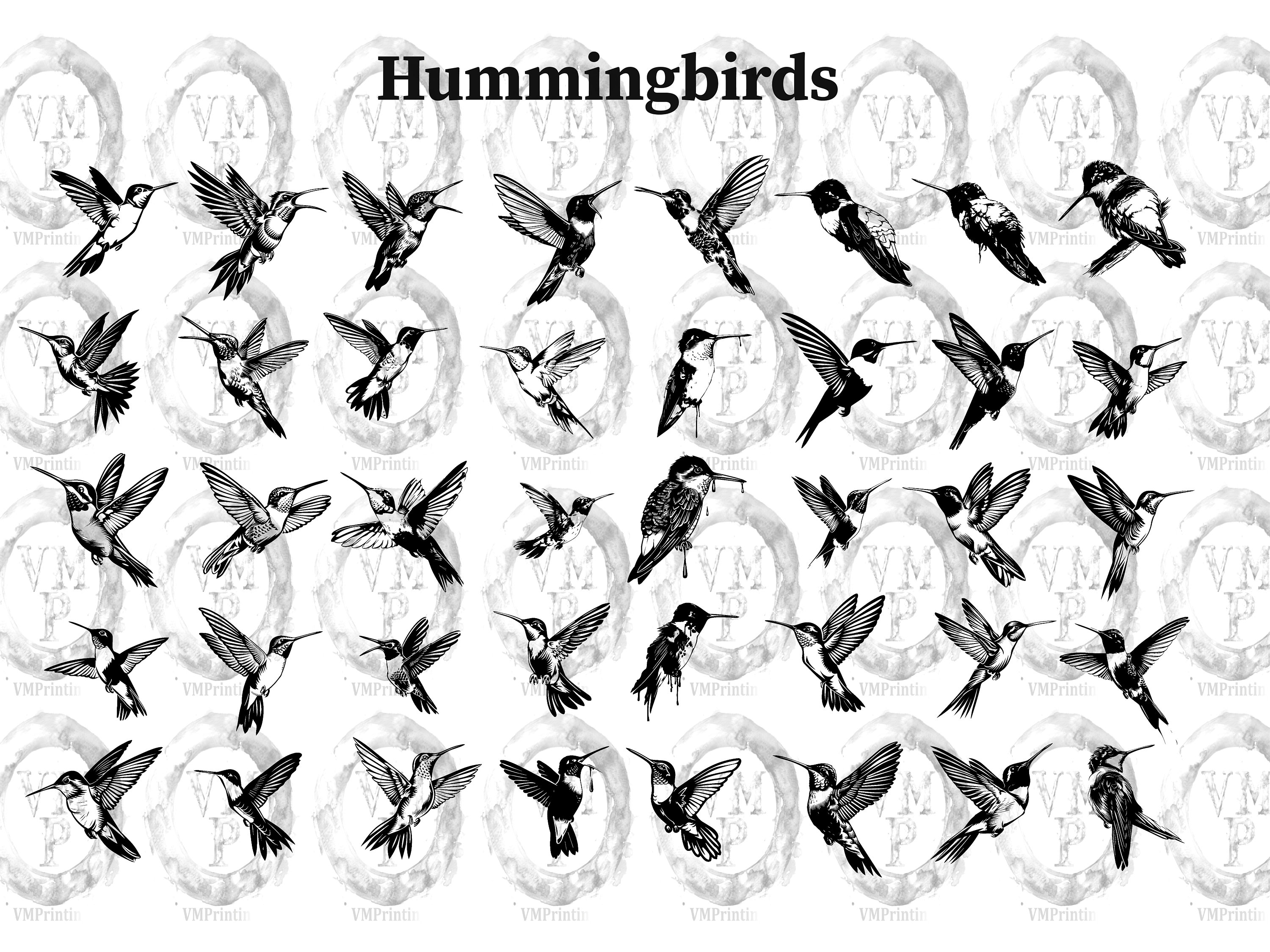 245 Bird Icons Bundle Clipart, SVG, PNG Budgie, Eagle, Hummingbird, Owl ...