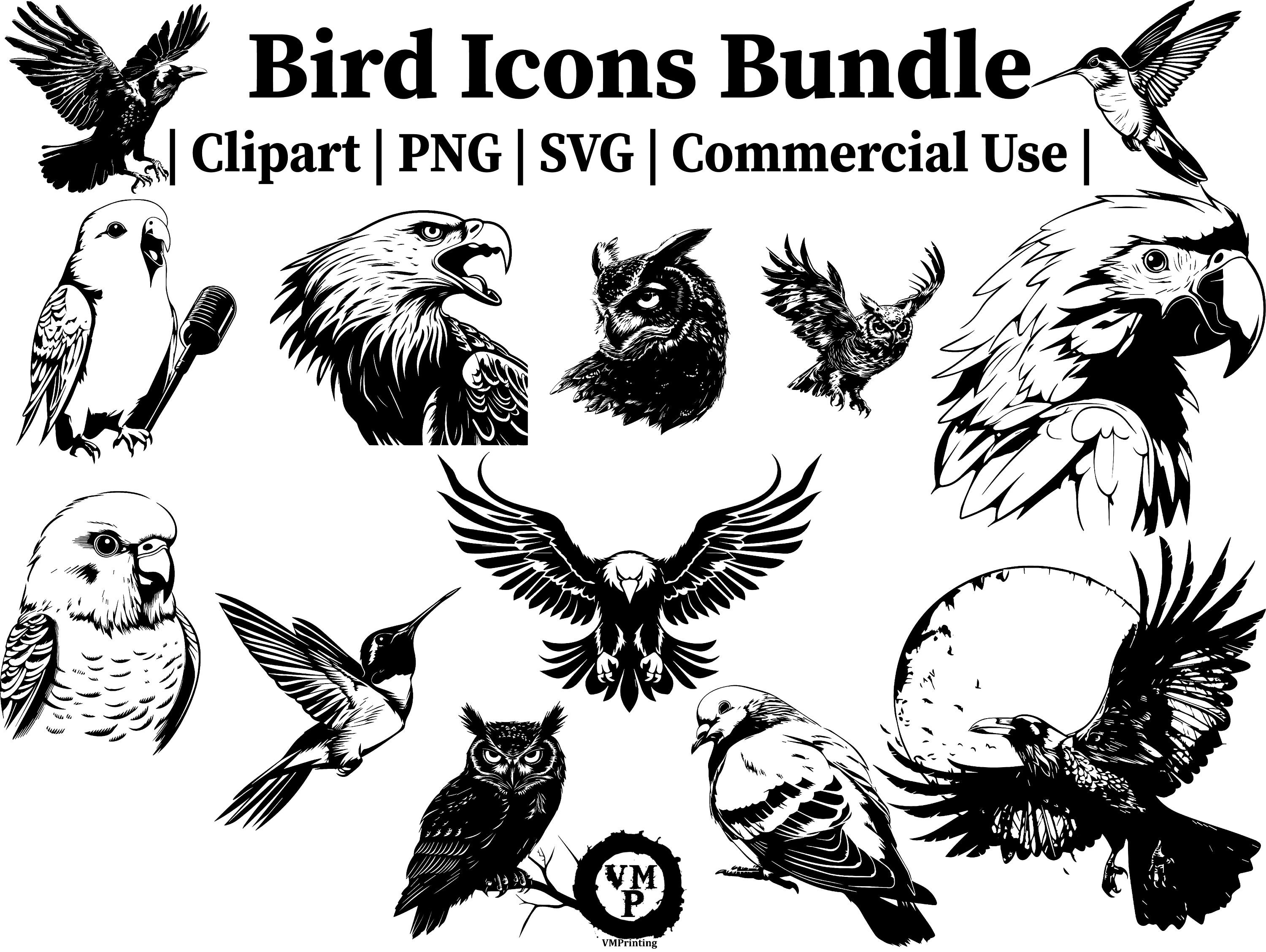 245 Bird Icons Bundle Clipart, SVG, PNG Budgie, Eagle, Hummingbird, Owl ...