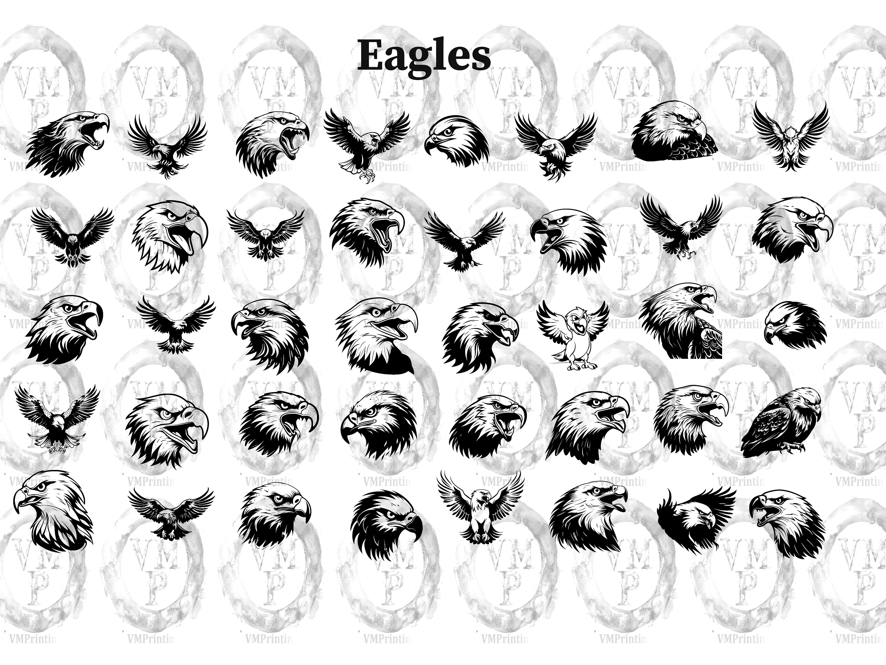 245 Bird Icons Bundle Clipart, SVG, PNG Budgie, Eagle, Hummingbird, Owl ...