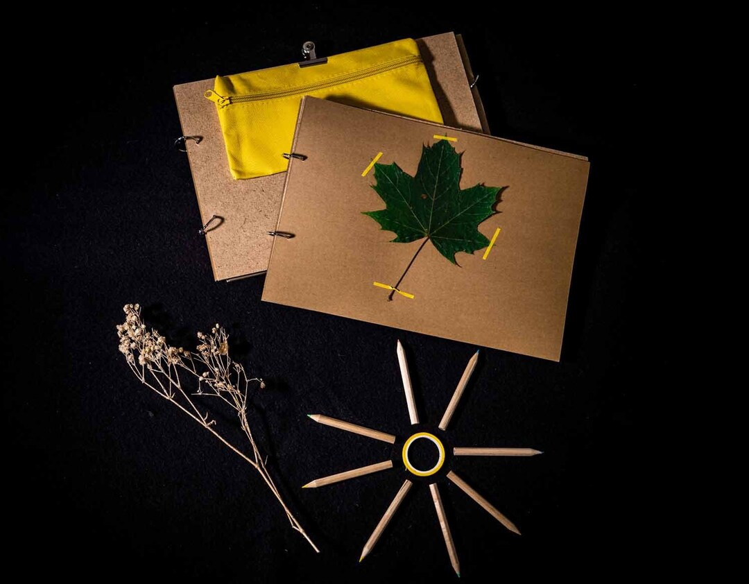 Sharing Box: a Double Herbarium for You and Me - Etsy