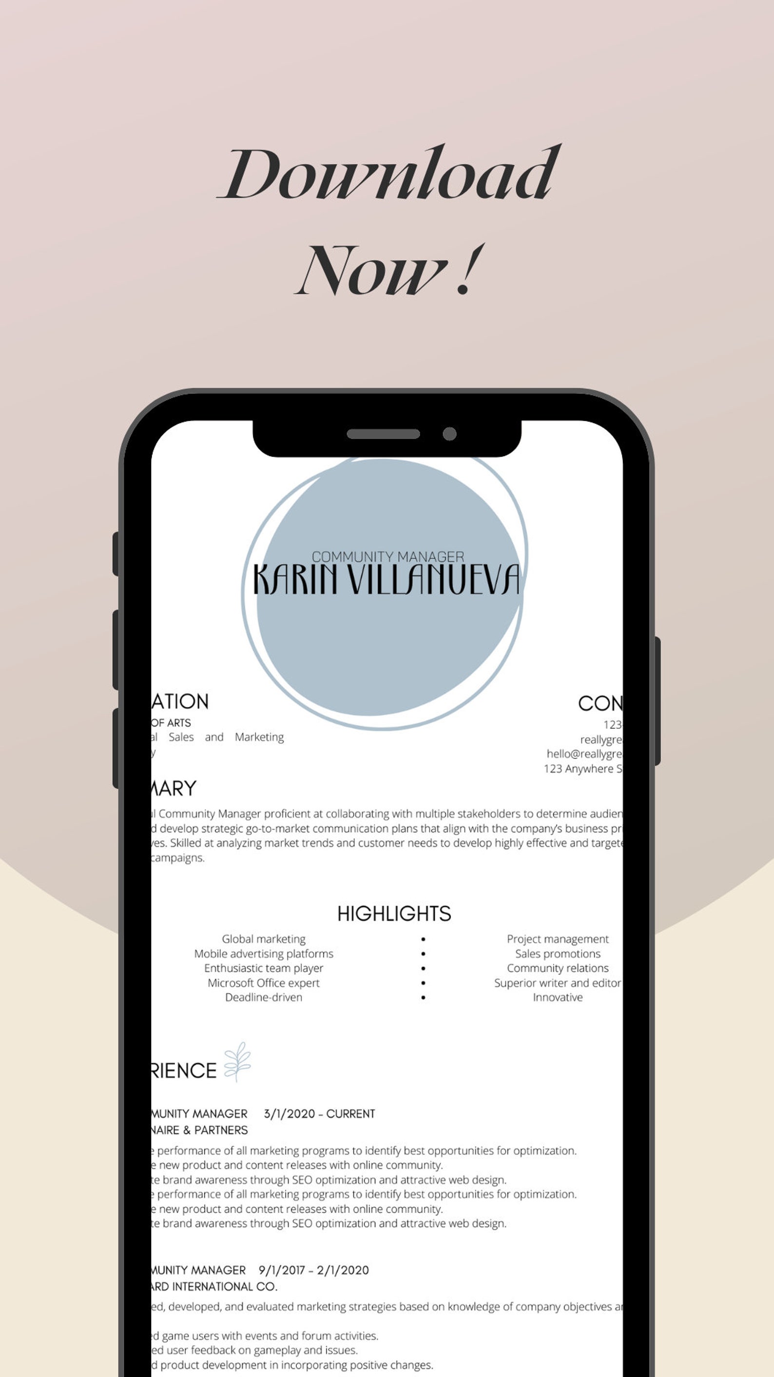 Modern Executive Resume Template: Professional Design With 2 Cover ...