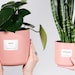 156 Plant Name Tag Stickers to Print | Plant Name Labels | Plant ...