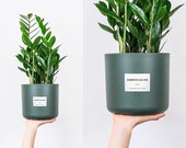 156 Plant Name Tag Stickers to Print Plant Name Labels - Etsy