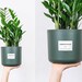 156 Plant Name Tag Stickers to Print | Plant Name Labels | Plant ...