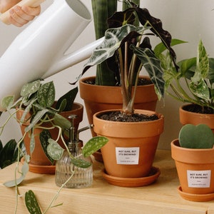 156 Plant Name Tag Stickers to Print | Plant Name Labels | Plant ...