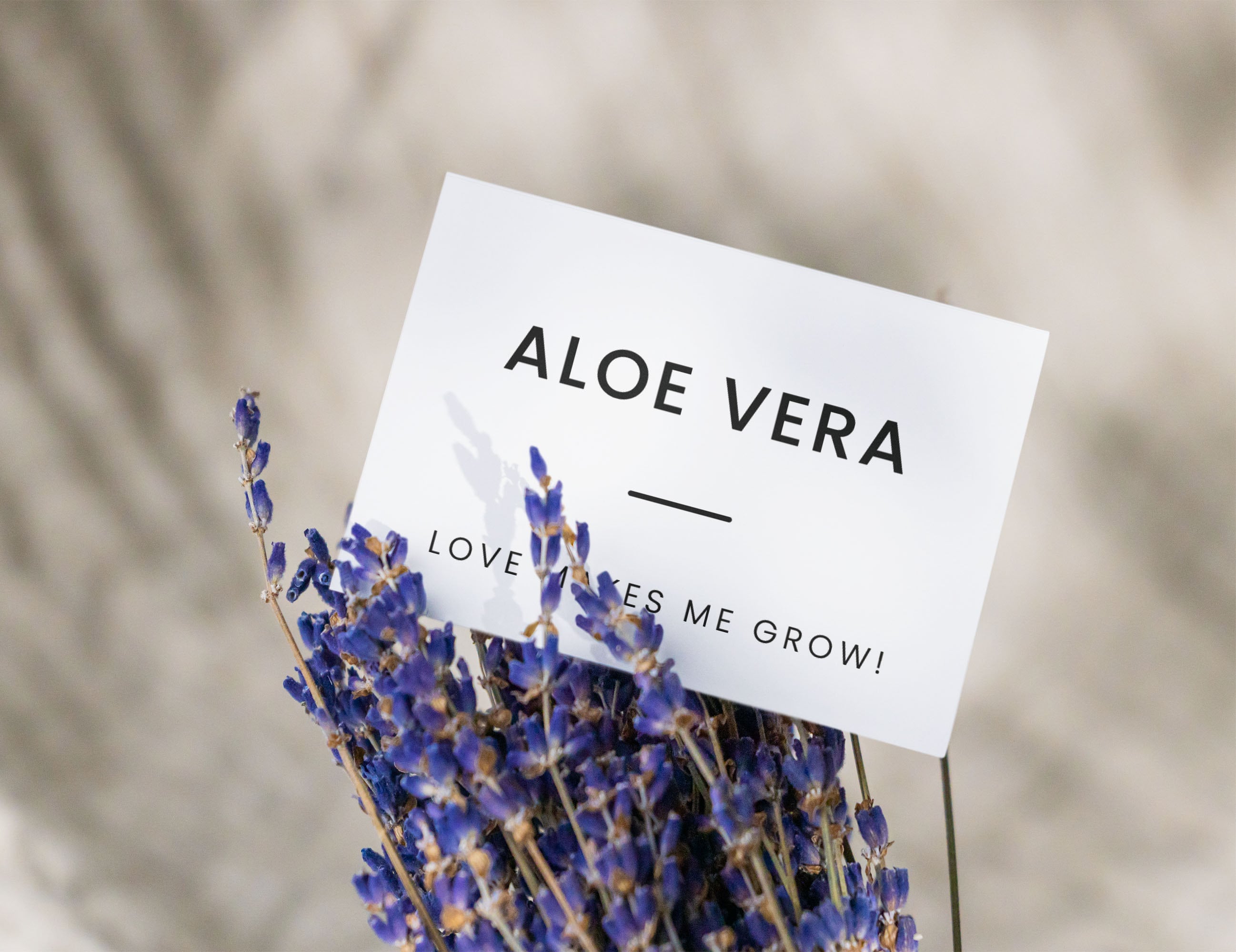156 Plant Name Tag Stickers to Print | Plant Name Labels | Plant ...