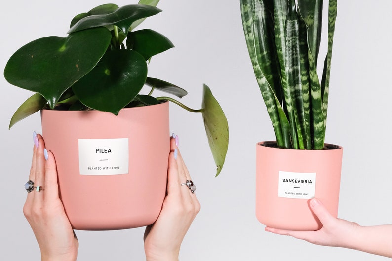 156 Plant Name Tag Stickers to Print | Plant Name Labels | Plant ...