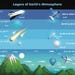 Science Lesson: Weather and Climate (bundle #1/2) - Etsy