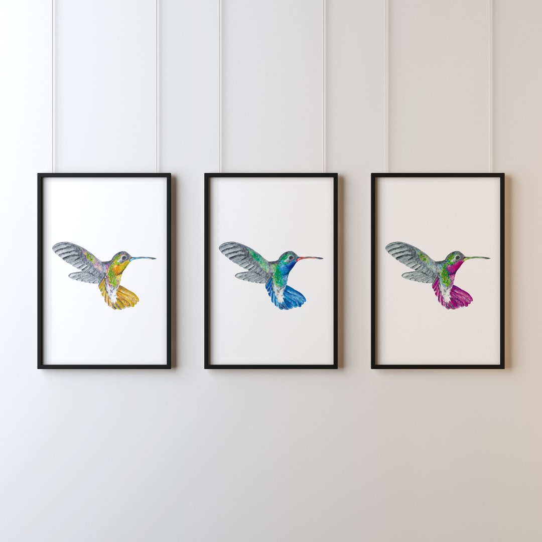 Set of 3 Hummingbird Art Prints, Hummingbird Print, Hummingbird Art ...