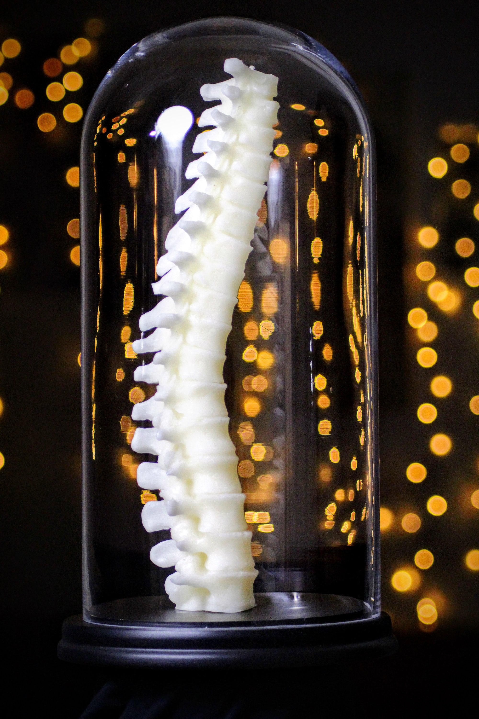 Spine Candle Made of 100% WHITE Beeswax in a Gift Box With Wood Wool ...