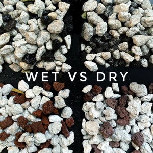 Lechonk Chunky Pon Blend | Semi-hydro Substrate - Etsy