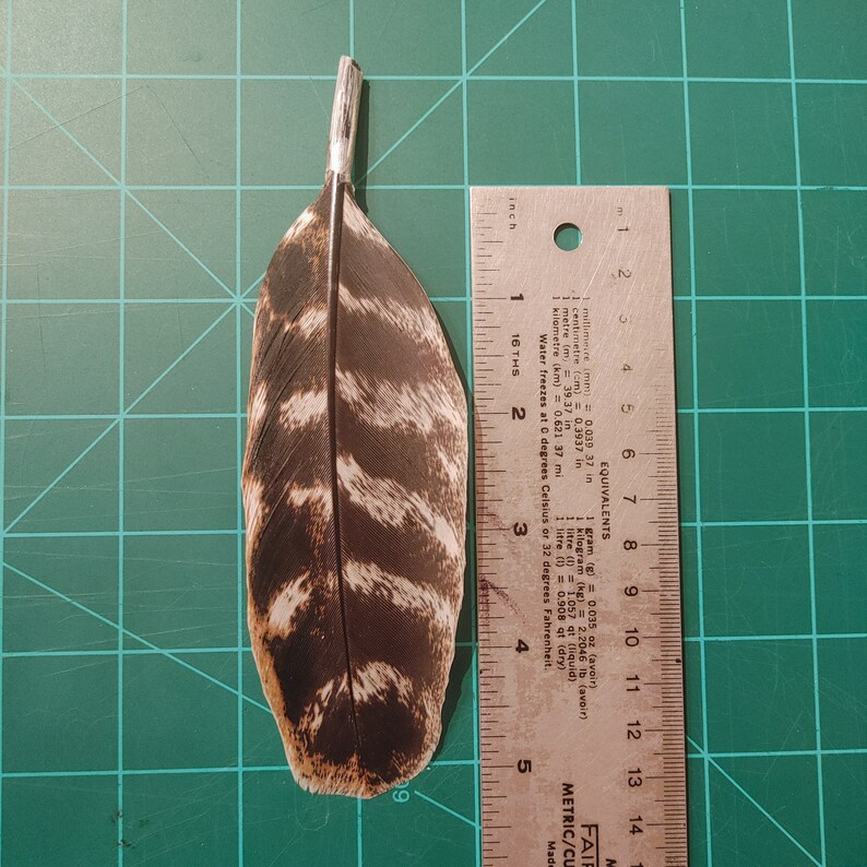 CUSTOM Painted Turkey Feather Commissions - Etsy